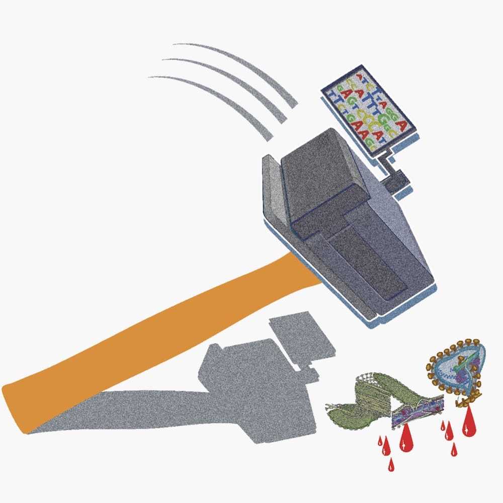 Projects - Andersen Lab